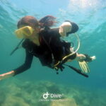 Paphos: Professional Dive Experience PADI British Instructor - Why This Tour Shines