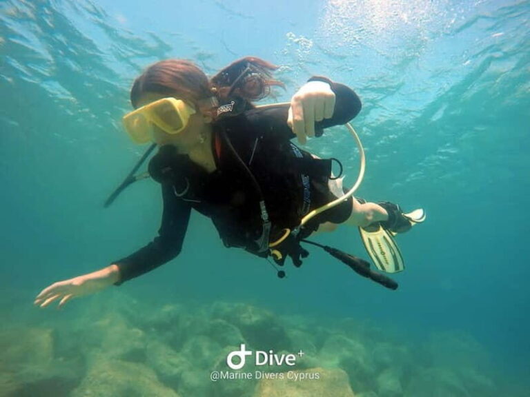 Paphos: Professional Dive Experience PADI British Instructor - Why This Tour Shines