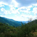 Paphos: Tour to Troodos, Kykkos Monastery, Omodos and Winery - What Sets This Tour Apart?
