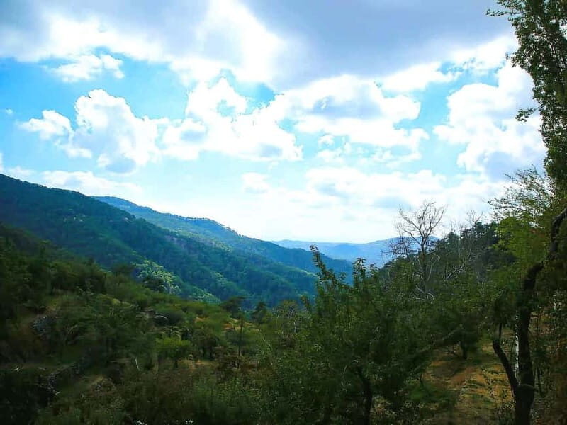Paphos: Tour to Troodos, Kykkos Monastery, Omodos and Winery - What Sets This Tour Apart?