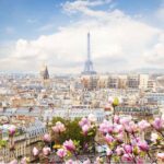 Paris by Rail with Sightseeing Bus and River Seine Lunch Cruise - The Journey from London to Paris: Comfort and Convenience