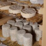 Paris Living Museum of Cheese Ticket with Tasting Included - Authenticity and Reviews: What Travelers Say
