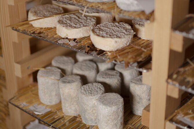 Paris Living Museum of Cheese Ticket with Tasting Included - Authenticity and Reviews: What Travelers Say