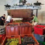 Paris Wine Day Tours exclusive Champagne tour incl. 3 visits - Why Choose This Tour? The Real Value for Travelers