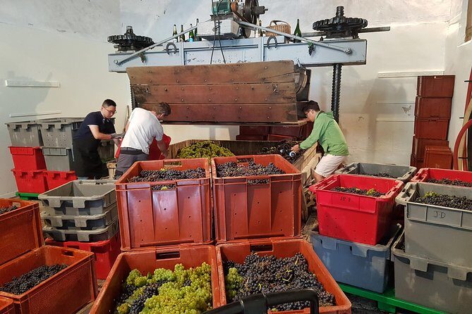 Paris Wine Day Tours exclusive Champagne tour incl. 3 visits - Why Choose This Tour? The Real Value for Travelers