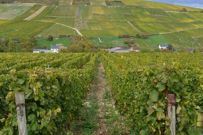 Paris Wine Day Tours exclusive wine tour in the Sancerre area - Exploring the Itinerary: What You Can Expect