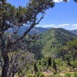 Park City Hiking Activity with Local Guide - Why the Price Is Justified