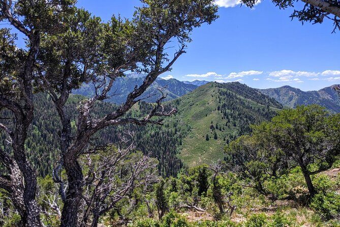 Park City Hiking Activity with Local Guide - Why the Price Is Justified