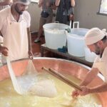 Parmigiano Cheese Factory Visit and Tasting - Exploring the Parmigiano Reggiano Cheese Experience