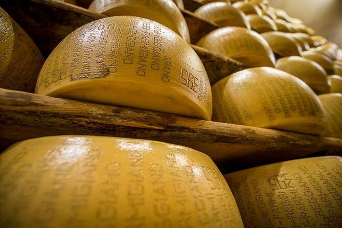 Parmigiano Reggiano Cheese Factory Tour & Tasting Experience - What You Can Expect - A Step-by-Step Breakdown