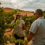 Paso Robles: Grapevine Getaway Exclusive Wine Tour - The Itinerary in Detail