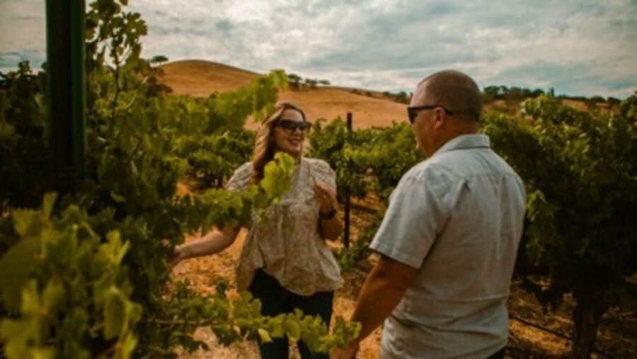 Paso Robles: Grapevine Getaway Exclusive Wine Tour - The Itinerary in Detail