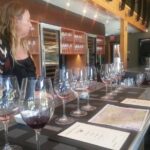 Paso Robles Wine Adventure with pickup from Pismo Beach, CA - Who Is This Tour Best For?
