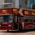 Passin Miami: Free 30+ Attractions, eSIM & 1-Way Airport Transfer - The Itinerary in Detail