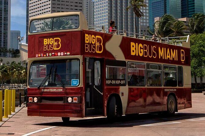 Passin Miami: Free 30+ Attractions, eSIM & 1-Way Airport Transfer - The Itinerary in Detail