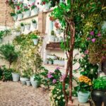 Patios tour in Cordoba - The Value of Guided Explanation