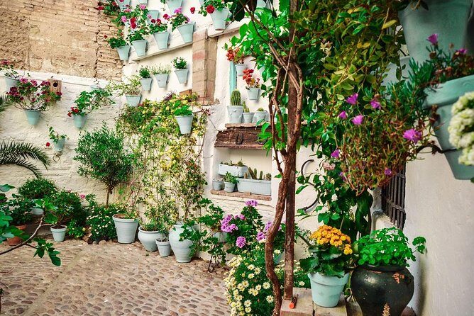 Patios tour in Cordoba - The Value of Guided Explanation