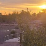 Peaceful Morning Walk: Guided Journey Through the Sonoran Desert - What to Expect from this Guided Desert Walk