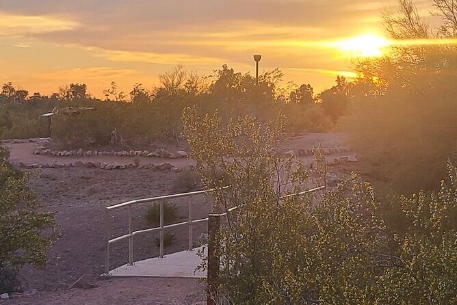 Peaceful Morning Walk: Guided Journey Through the Sonoran Desert - What to Expect from this Guided Desert Walk