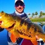 Peacock Bass Fishing Trip in Boynton Beach - Analyzing the Value