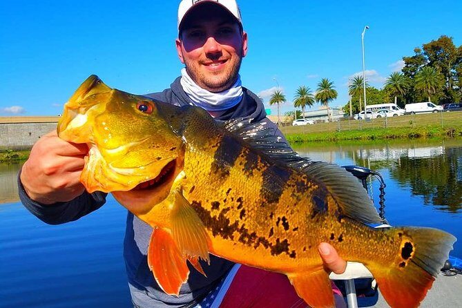 Peacock Bass Fishing Trip in Boynton Beach - Analyzing the Value