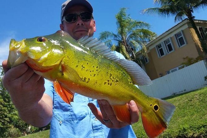 Peacock Bass Fishing Trip near Palm Beach - FAQ: Your Questions Answered