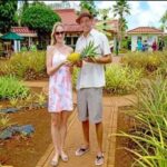 Pearl Harbor + Dole Plantation + Polynesian Center from Kauai - Practical Details and Considerations