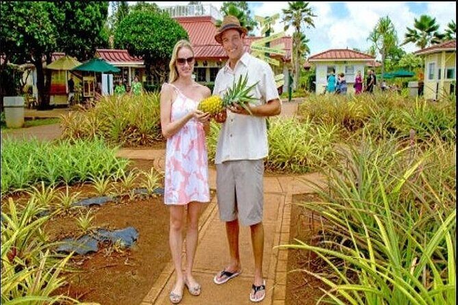 Pearl Harbor + Dole Plantation + Polynesian Center from Kauai - Practical Details and Considerations