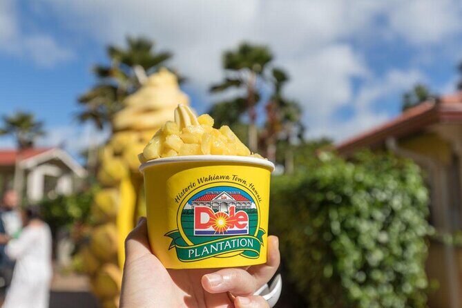 Pearl Harbor, Dole Plantation, Polynesian Center from Waikiki - What the Experience Means for Travelers