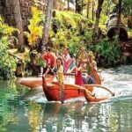 Pearl Harbor, Dole Plantation, & Polynesian Center Tour from Kona - Who Will Love This Tour?