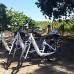 Pedal and Paddle Wine Tour in Arizona - The Itinerary in Detail