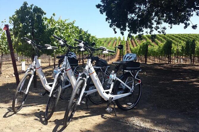 Pedal and Paddle Wine Tour in Arizona - The Itinerary in Detail