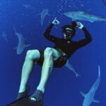Pelagic Shark Dive Tour - What to Expect from the Pelagic Shark Dive Tour