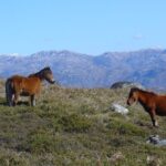 Peneda-Gerês: Full-Day Premium Tour - The Itinerary Breakdown