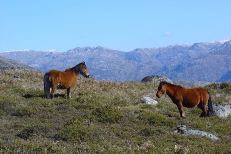 Peneda-Gerês: Full-Day Premium Tour - The Itinerary Breakdown