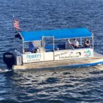 Pensacola Beach Sunset Dolphin Tour private up to 6 ppl - Why This Tour Is a Great Choice