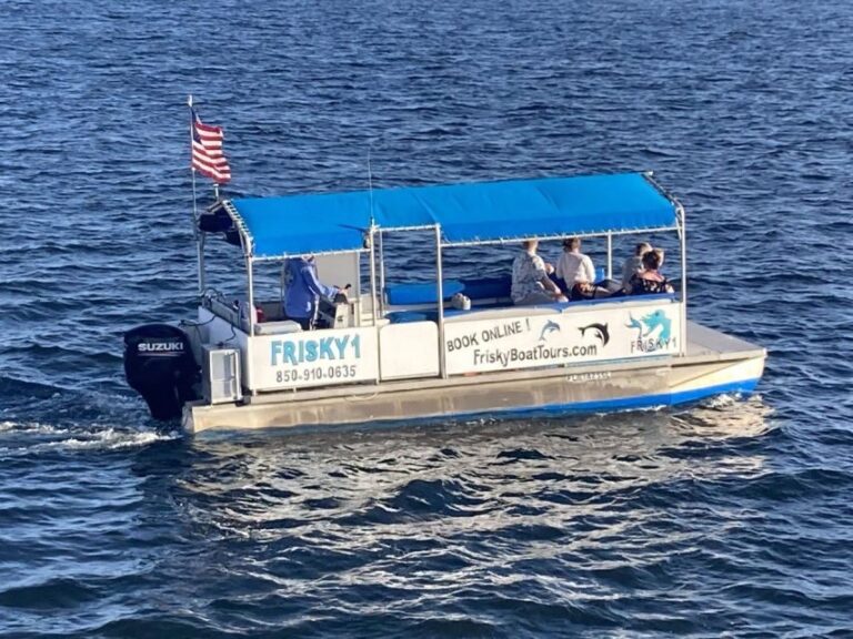 Pensacola Beach Sunset Dolphin Tour private up to 6 ppl - Why This Tour Is a Great Choice