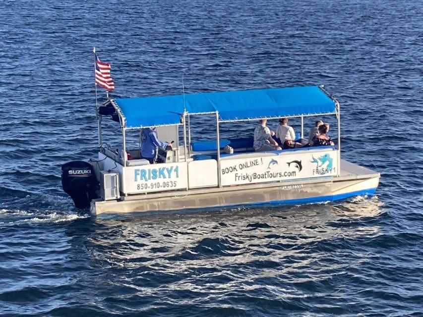 Pensacola Beach Sunset Dolphin Tour private up to 6 ppl - Why This Tour Is a Great Choice