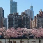 Personalized Experience with your Local Tour Guide - Practical Details and Logistics
