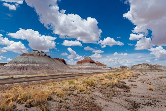 Petrified Forest National Park Self Guided Audio Driving Tour - Why This Tour Works Well for Travelers