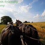Philadelphia and Amish Country, 1-Day Tour from NYC - Who Should Consider This Tour?