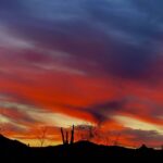 Phoenix: Amazing Two-Hour Guided Hike in the Sonoran Desert - What’s Included and What’s Not