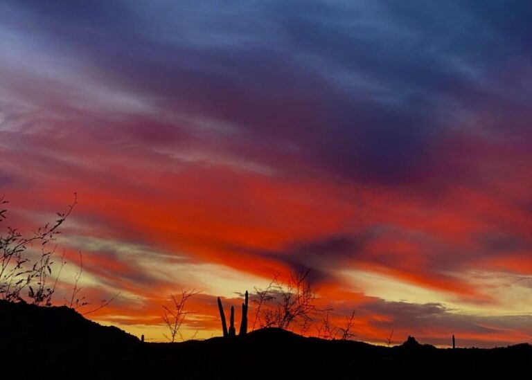 Phoenix: Amazing Two-Hour Guided Hike in the Sonoran Desert - What’s Included and What’s Not