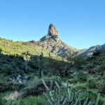 Phoenix Wilderness Hiking Tours - Delving into the Details: Itinerary and Experience