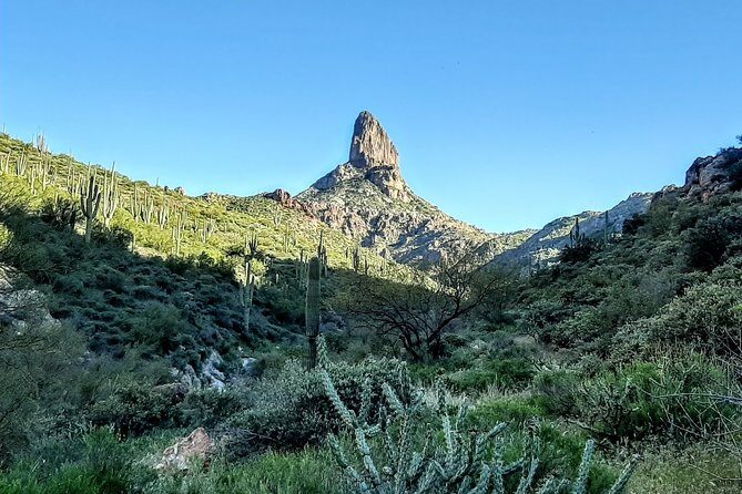 Phoenix Wilderness Hiking Tours - Delving into the Details: Itinerary and Experience
