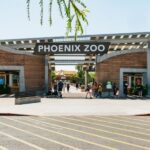 Phoenix Zoo One Day General Admission Ticket - What Real Visitors Say
