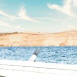Photo Shoots Adventure - Trips in Lovers Cave, Gozo & Comino - Who This Tour Is Best For and Final Thoughts