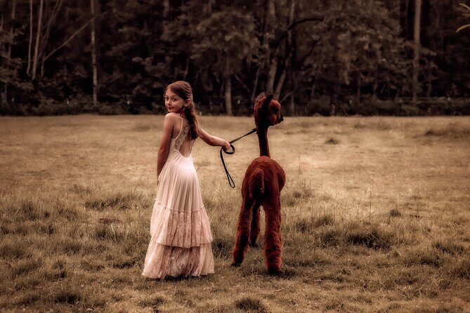 Photoshoot with Alpacas and Farm Experience near Seattle - Who Will Love This Experience?