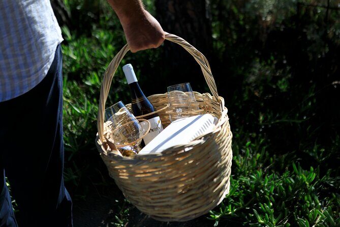Pic-nic in the vineyard - The Value for Money