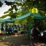 Picnic Area with Barbecue Equipment in Capranica (VT) - An In-Depth Look at the Picnic Area Experience